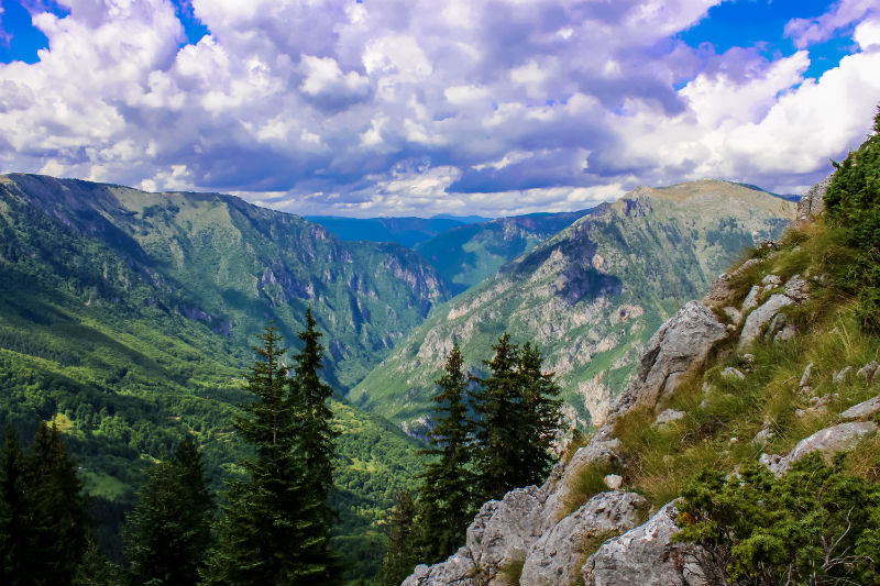 EVROPSKI DAN PARKOVA, IZ JPNPCG PORUČUJU: Glasajmo za prirodu ...